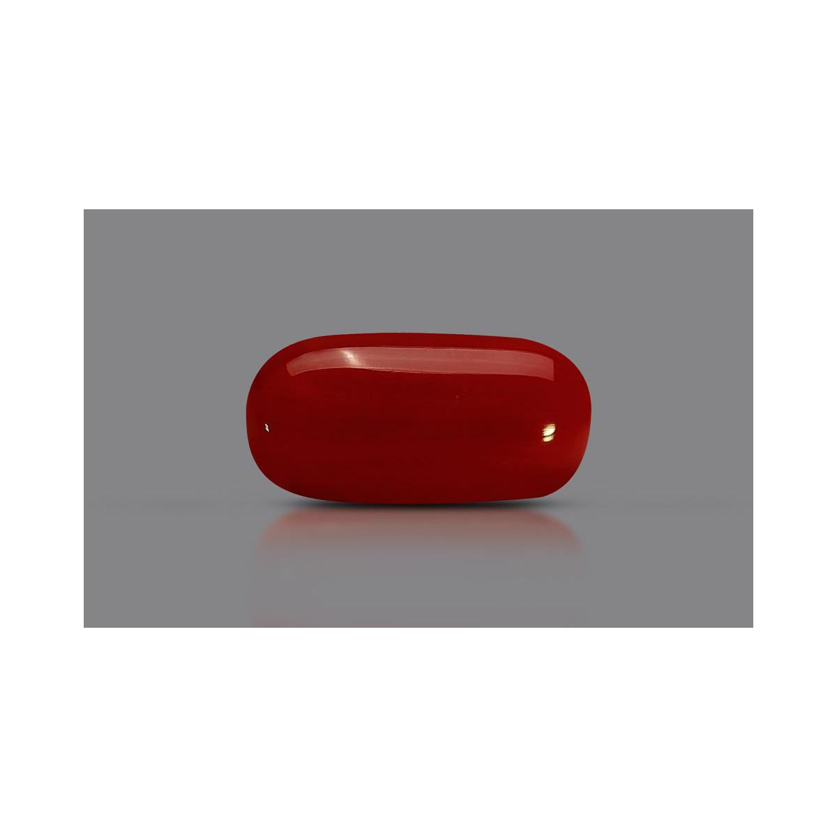 Natural Coral- 7 | Buy Online Natural Coral — Vastustoreonline