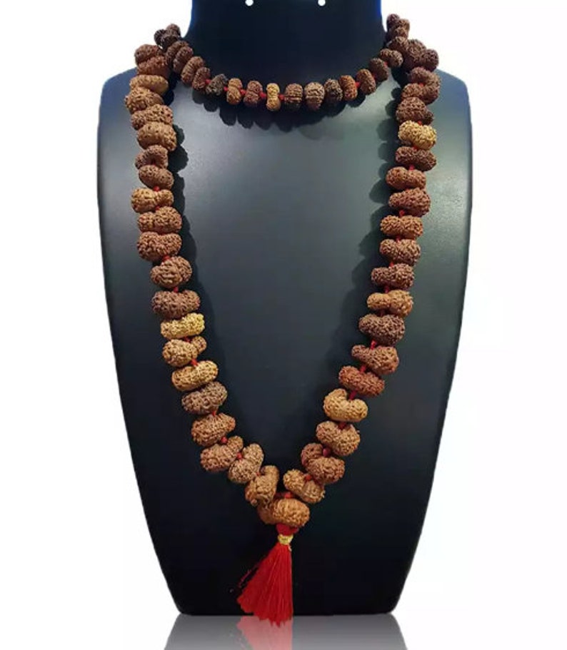 Gauri Shankar Rudraksha Mala – Indonesia Kanthi Mala 54+1 Beads ...